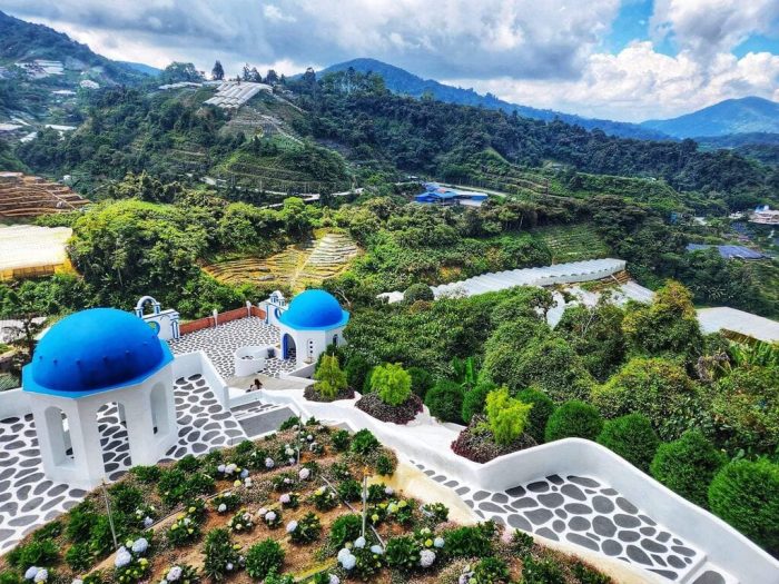 The Floral Vacation | Cameron Santorini - A Mediterranean Experience in ...